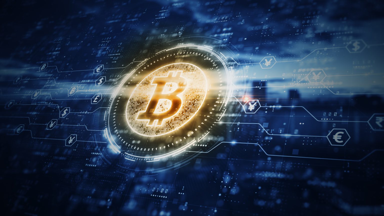 Carteiras de cripto: conheça os principais tipos e as diferenças entre ...
